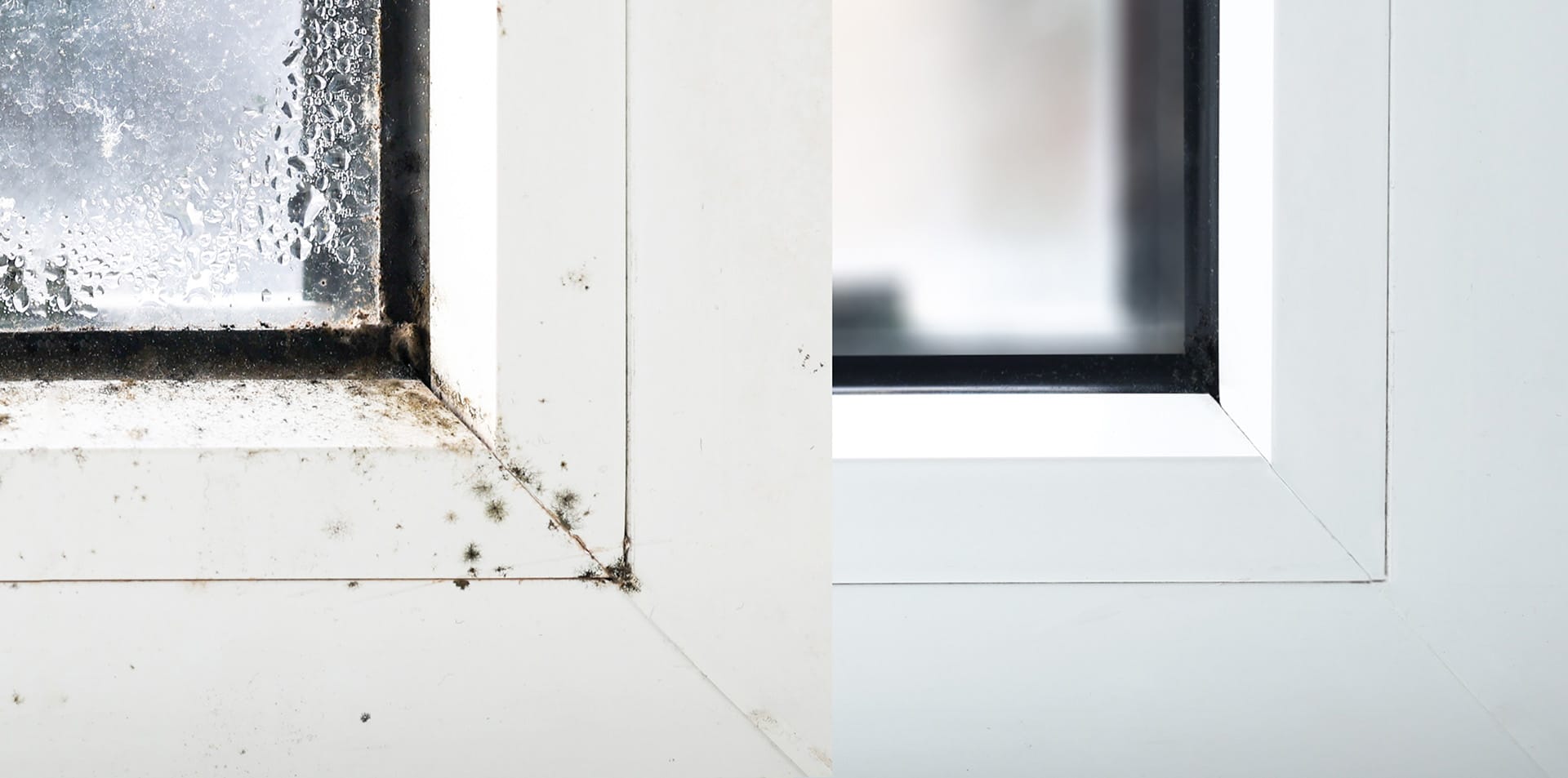 Window Condensation: Causes, Solutions, and Prevention | Kempenfelt ...